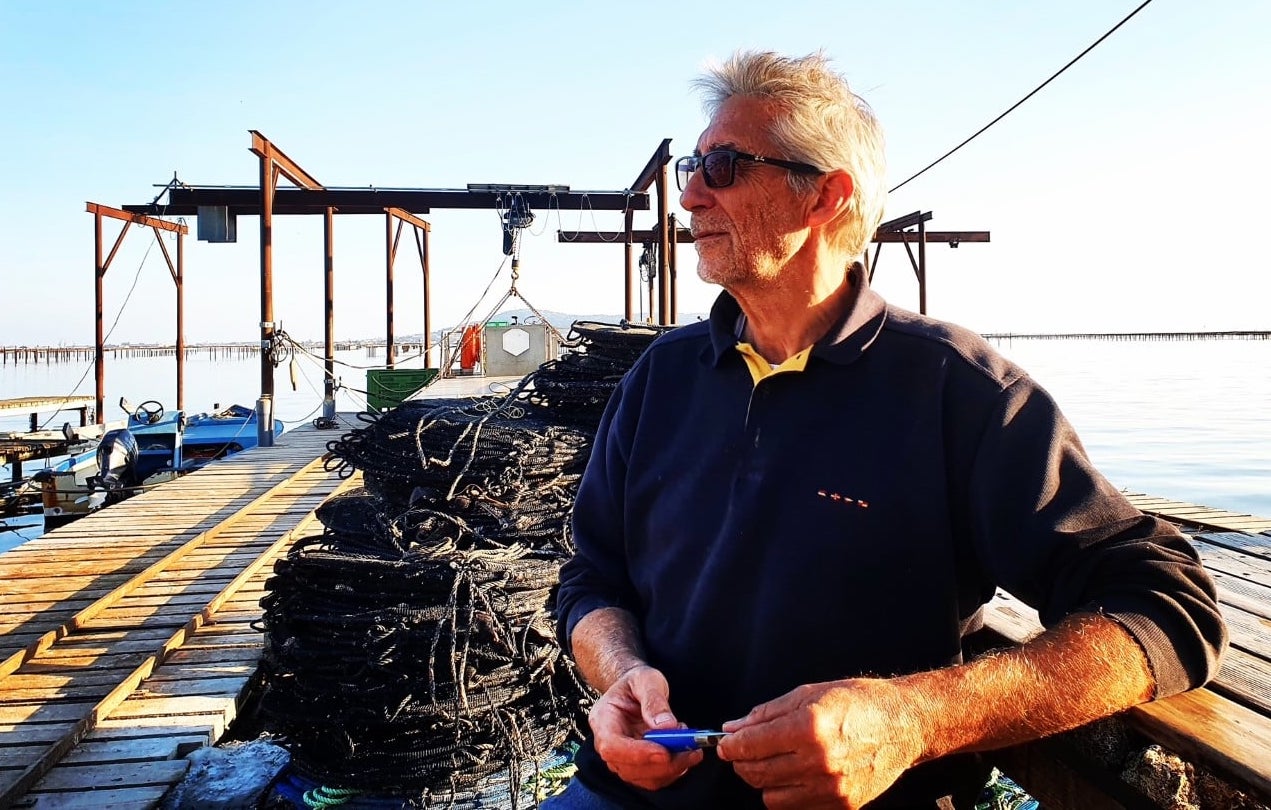 À Bouzigues, des huîtres pas comme les autres... – Culture 31