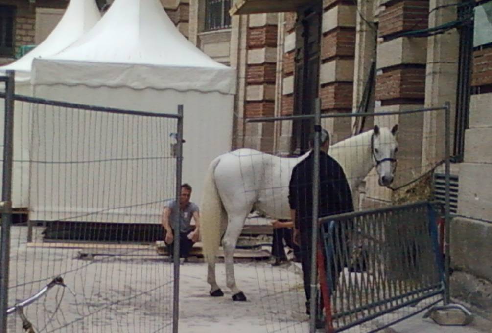 Rienzi : de rouille et de subtilité – Culture 31